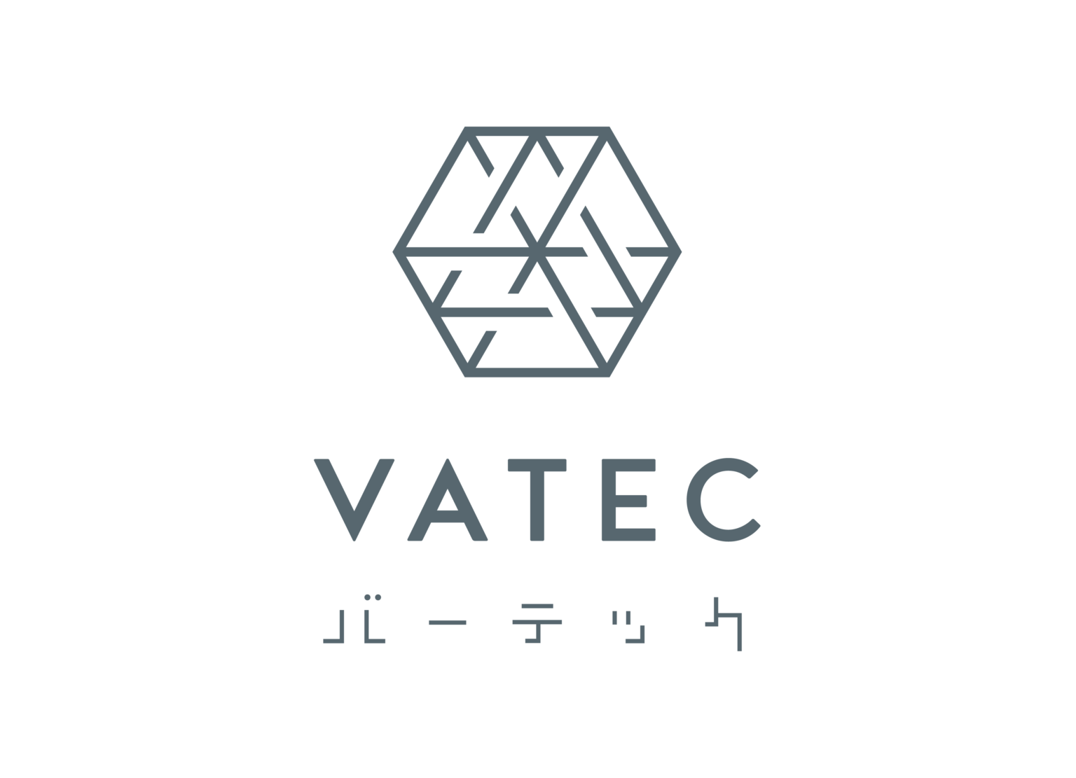 COMPANY - VATEC Inc.